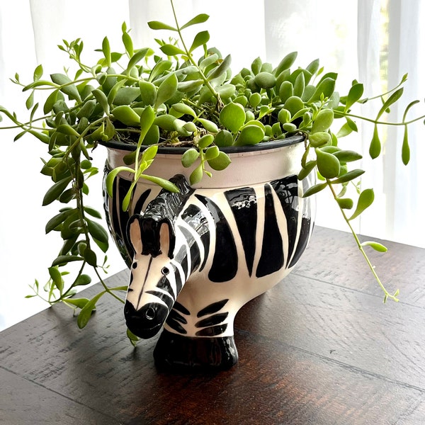 Pottery Zebra - Etsy