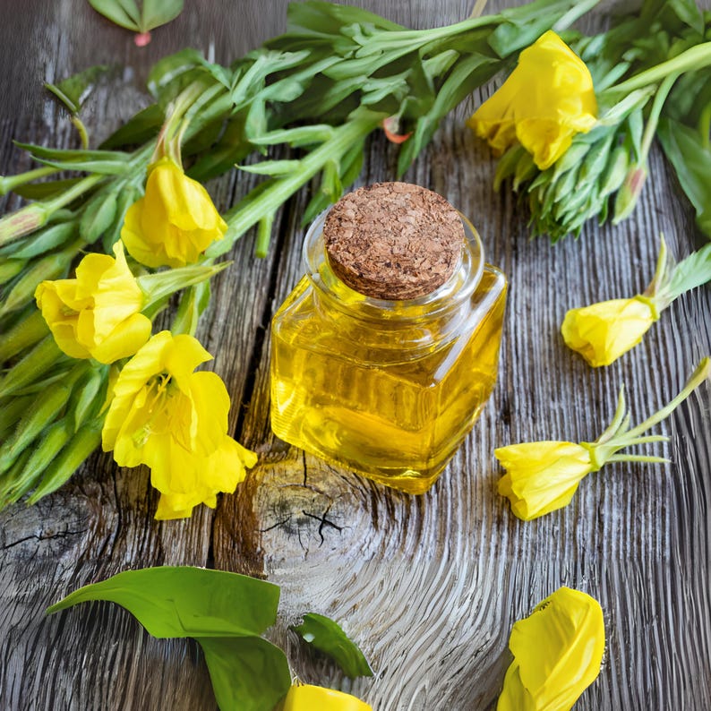 15+ Seeds| Evening Primrose Seeds - Flowering - Cold Resistant ...