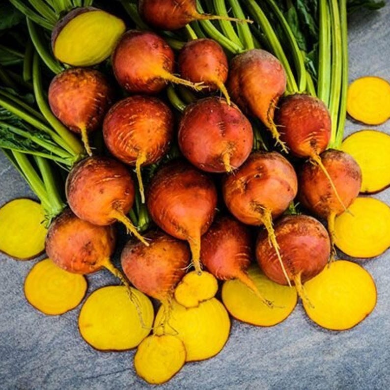 Touchstone Gold Beet Seeds - Vegetable Seeds - Beta - Biennial - Edible ...
