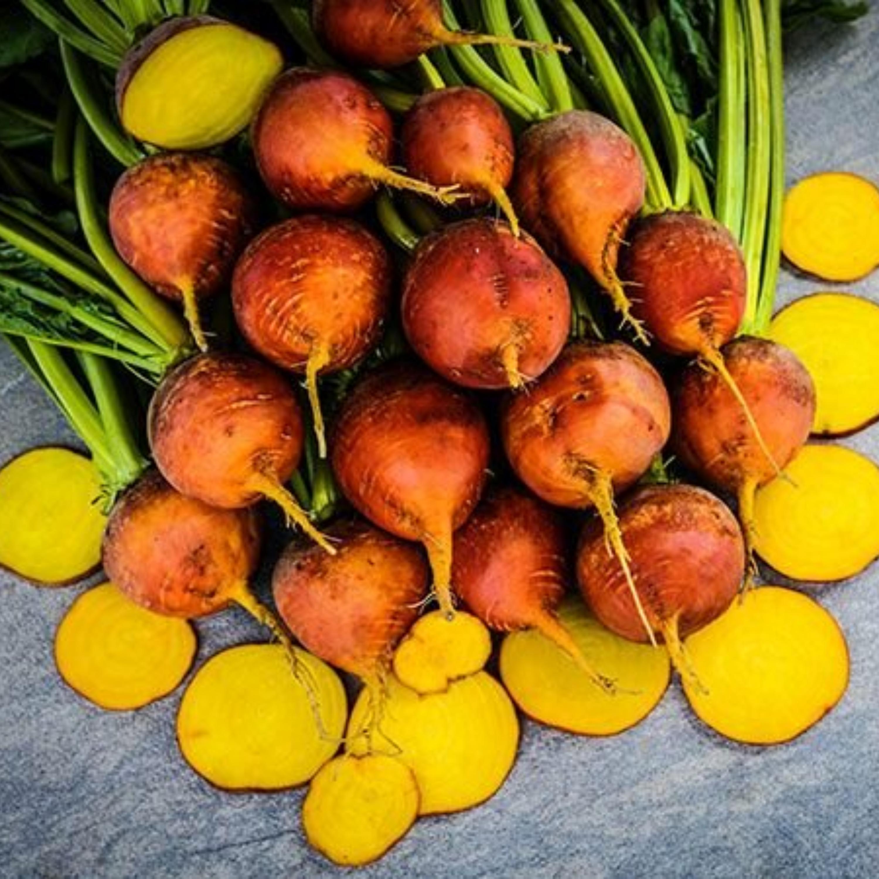 Touchstone Gold Beet Seeds - Vegetable Seeds - Beta - Biennial - Edible ...