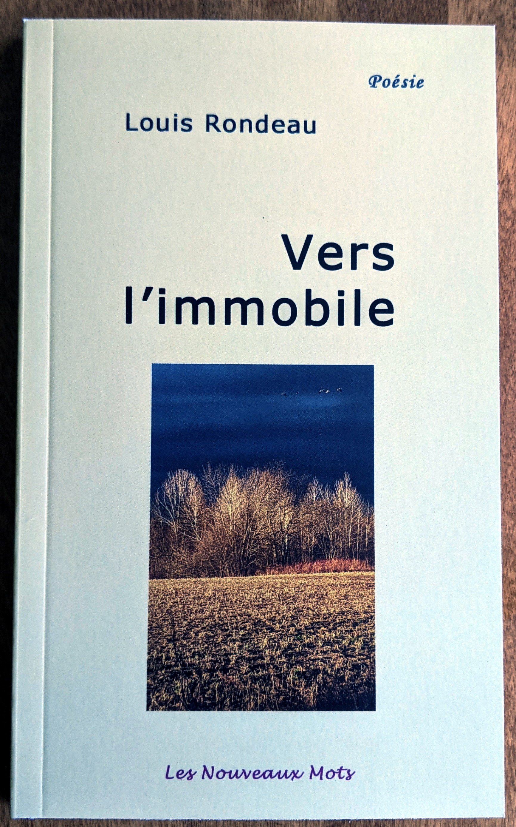 Vers l'immobile Recueil de poésie Louis Rondeau - Etsy 日本