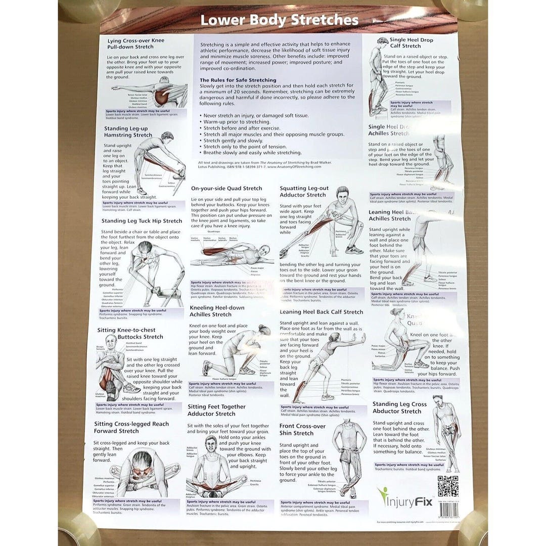 Lower Body Stretches 33x23 Wall Poster Injuryfix Exercise Chart Fitness ...