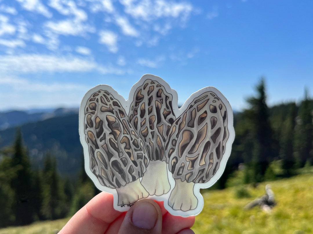Morel Cluster Sticker 3x3 - Etsy