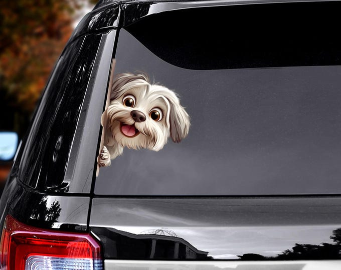 Havanese Dog Car Sticker, Dog Lover Gifts, Havanese Dog Car Sticker ...