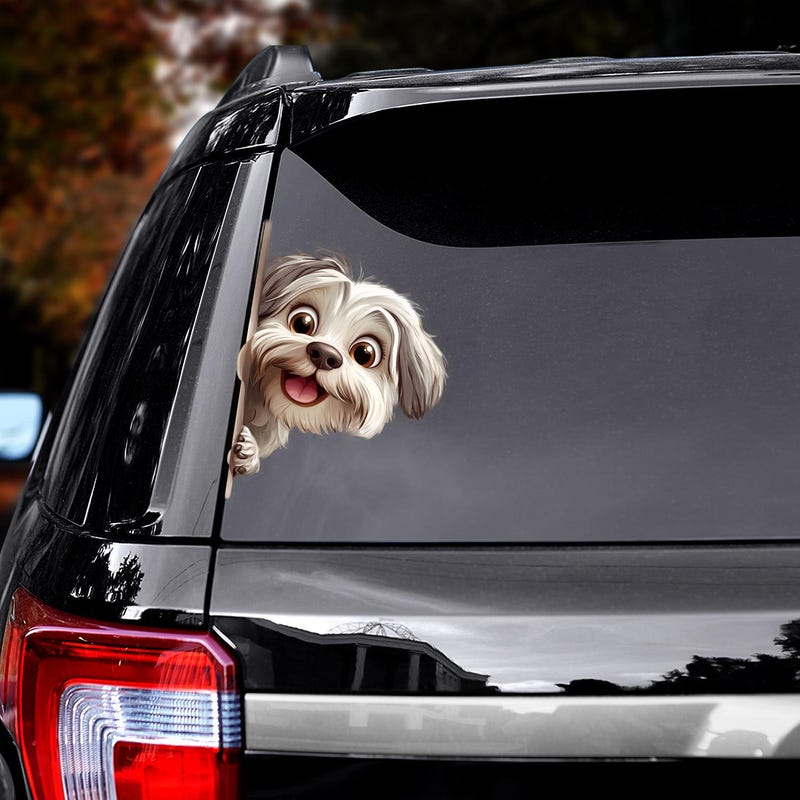 Havanese Car Window Sticker - Etsy