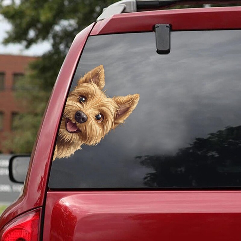 Car Window Decals Funny - Etsy
