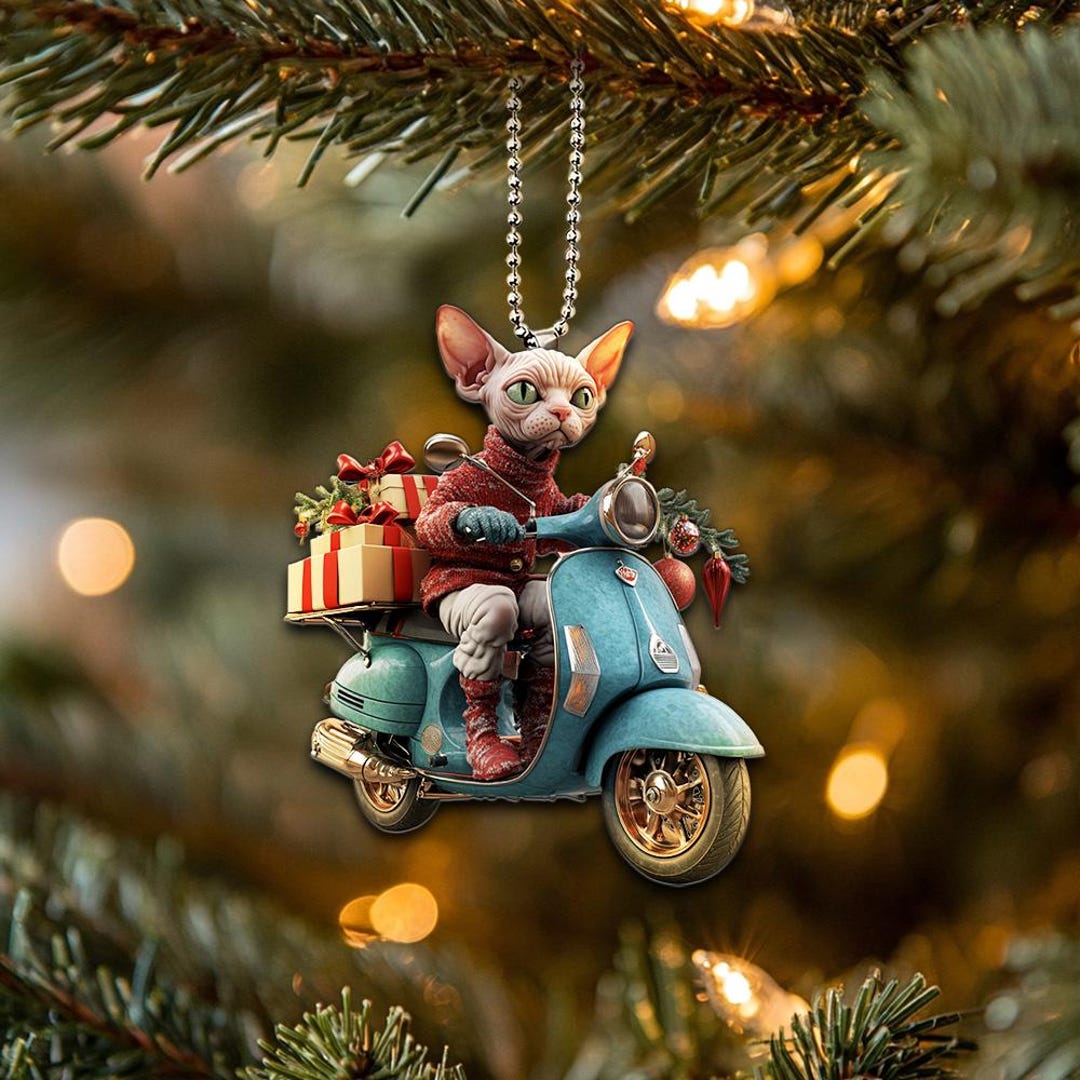 2D Flat Sphynx Cat Ornament, Cat Riding a Motorbike, Cat Car Hanging ...