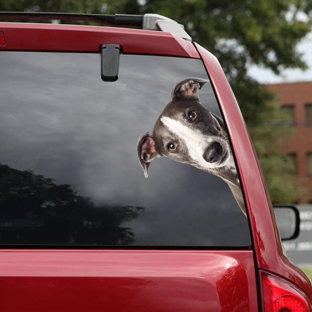 Italian Greyhound Dog Car Sticker, Dog Lover Gifts, Italian Greyhound ...