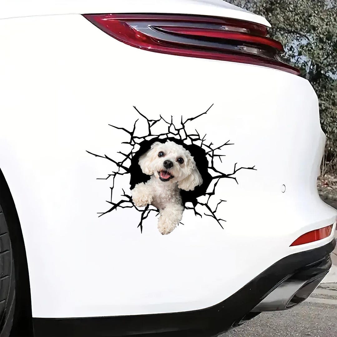 Bichon Frise Dog Break the Window Car Sticker, Dog Lover Gifts, Bichon ...