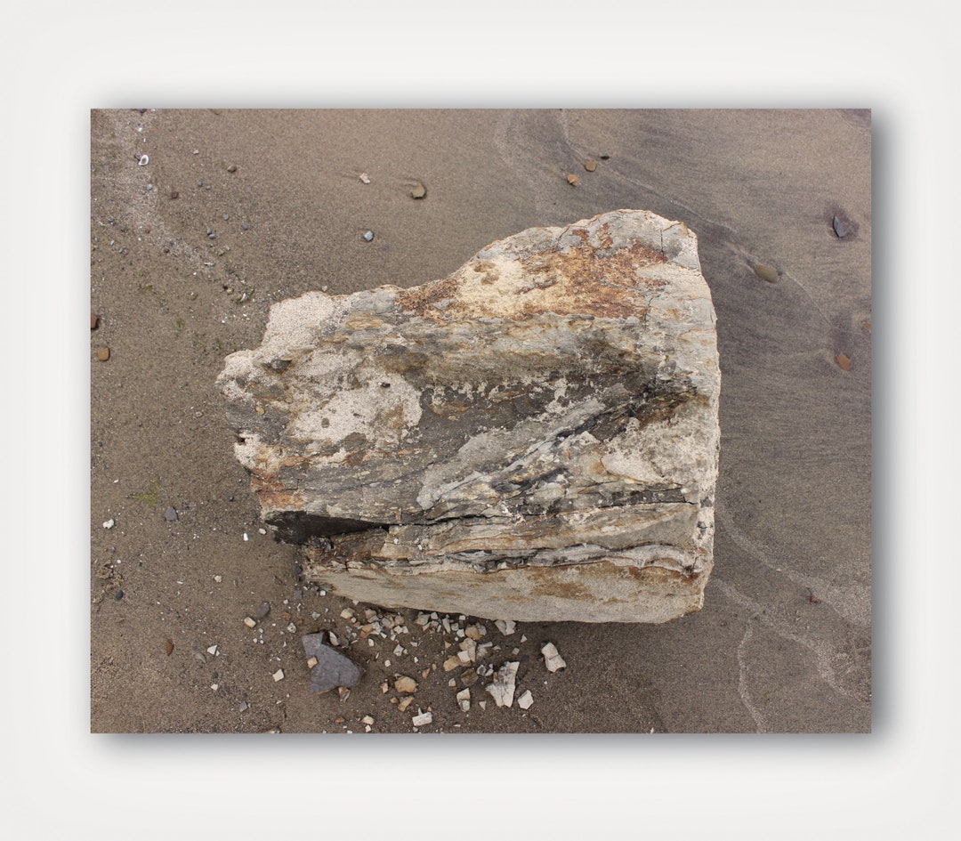 Geology Poster | Printable Wall Art | Scarborough Bluffs | Glacial Rock ...