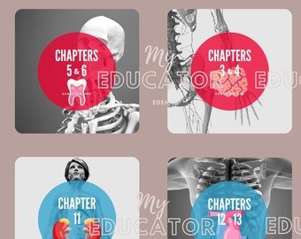 Canva Anatomy - Etsy Australia