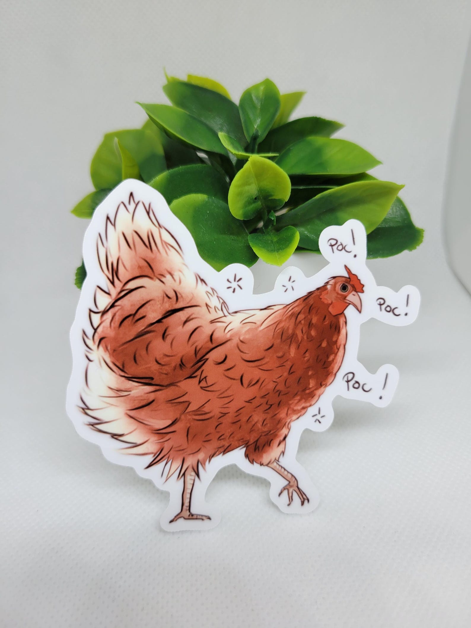 Chicken Laptop Sticker for Fun! Funny Animal Sticker Gift - Etsy Canada