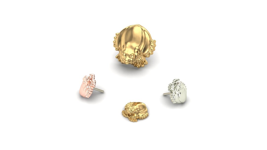 14K Solid Yellow, Rose, White Gold Frog Piercing, Body Jewelry, 25g ...