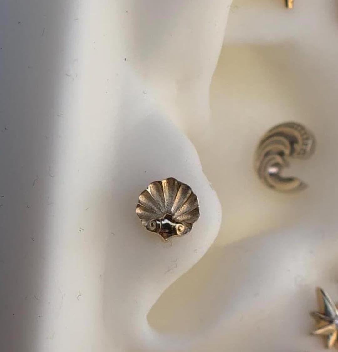 14K Solid Yellow, Rose, White Gold Shell Piercing, Body Jewelry, 25g ...