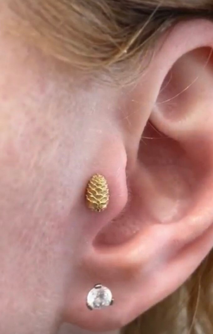 14K Solid Yellow Rose White Gold Pine Cone Piercing Body - Etsy