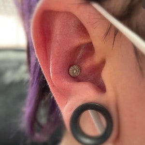 14K Solid Yellow, Rose, White Gold Alien Hugger Piercing, Body Jewelry ...