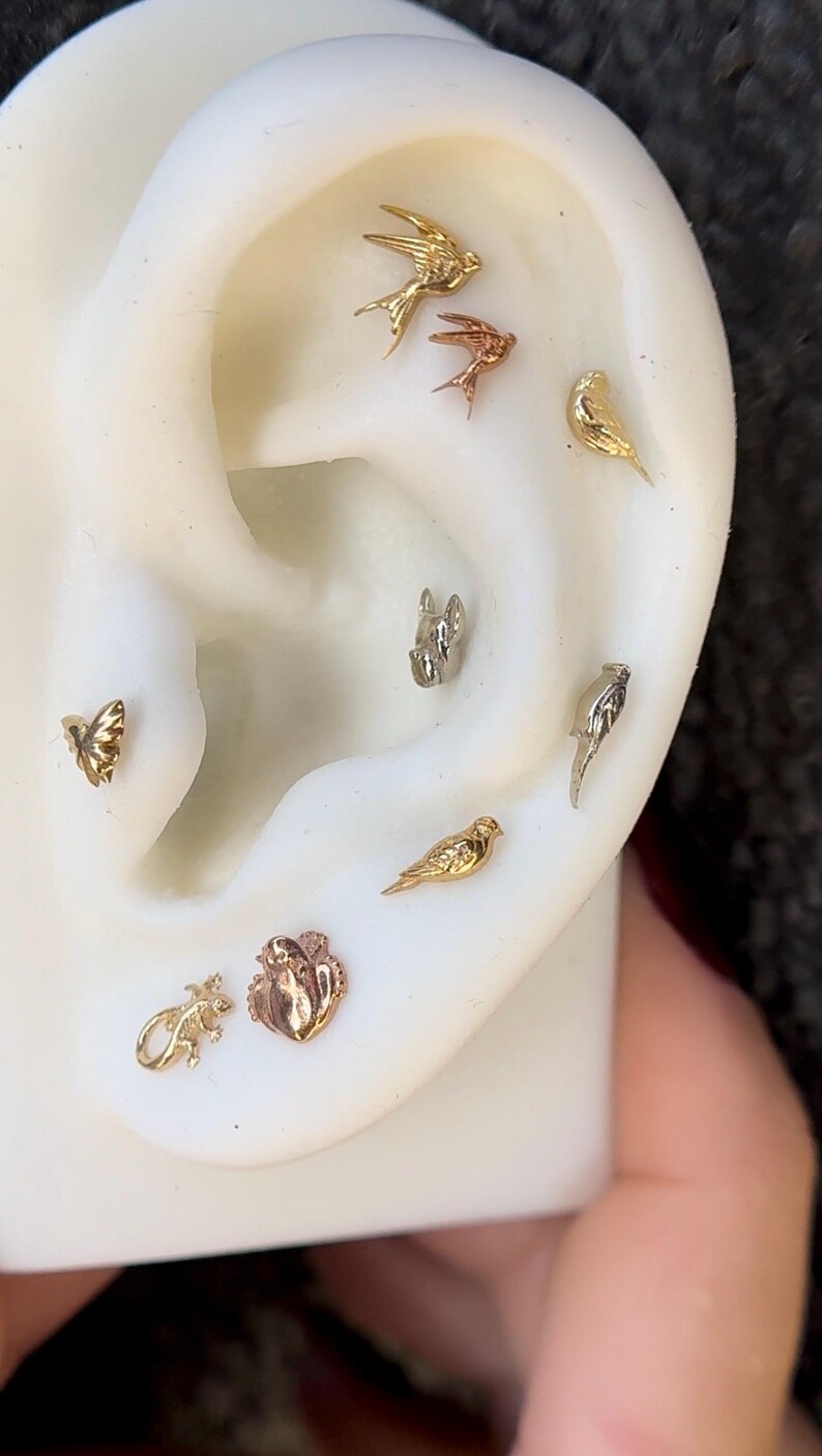 Solid Gold Collared Lizard Piercing Body Jewelry: Threadless & Threaded ...