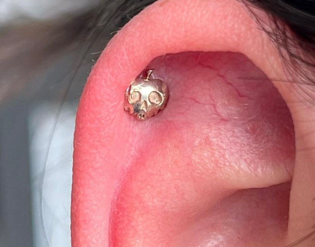 14K Solid Yellow, Rose, White Gold Poisoned Apple Piercing, Body Jewelry, 25g Threadless Pin ...