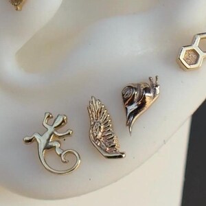 14K Solid Yellow, Rose, White Gold Snail Piercing, Body Jewelry, 25g ...