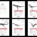 Jurassic Park Lost World Laminated Ingen List Dinosaur Information ...