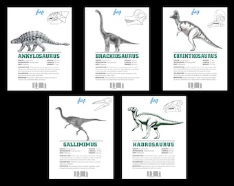 Jurassic Park Lost World Dinosaurs