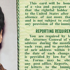 1983 Scarface Movie Tony Montana Al Pacino Green Card ID Cosplay DIY ...