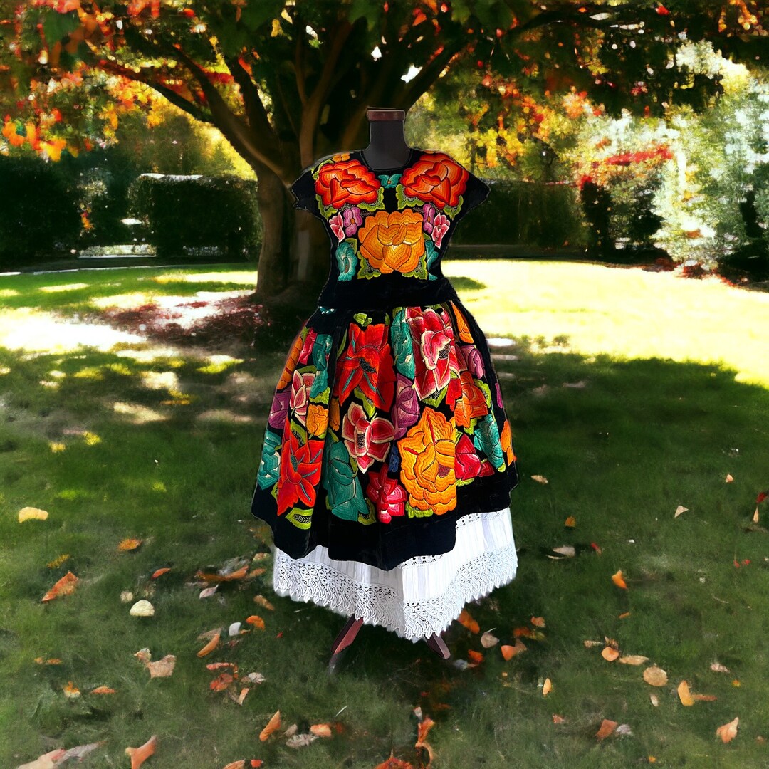 Traje de Gala Antiguo Típico del Istmo de Tehuantepec con Bordado Fino ...