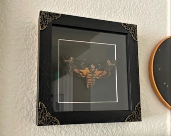 Moth in Frame | Etsy