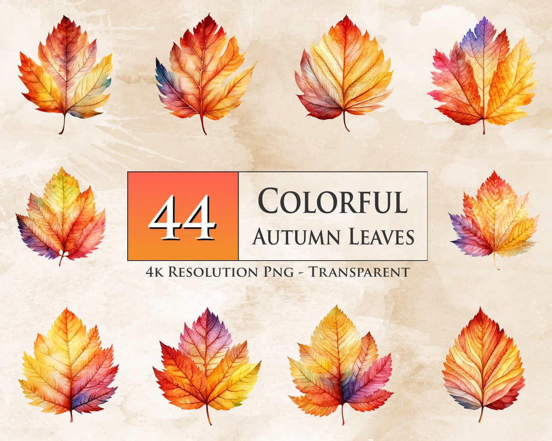 44 Colorful Watercolor Autumn Leaves PNG Bundle - Fall Clipart, Autumn ...