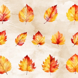 82 Watercolor Autumn Leaves PNG Bundle - Fall Clipart, Autumn Clipart ...