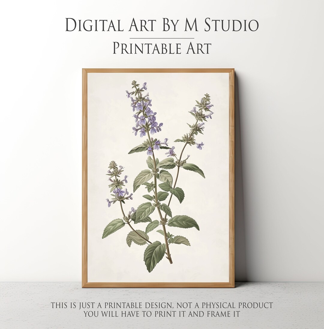 Catmint Flower Painting - French Country Farmhouse Printable ...