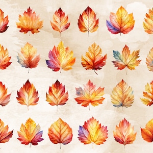 82 Watercolor Autumn Leaves PNG Bundle - Fall Clipart, Autumn Clipart ...