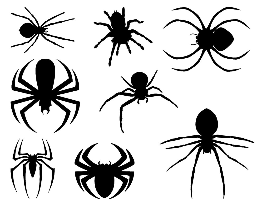 Spider SVG Bundle PNG Spiders Svg Tarantula Svg Black - Etsy