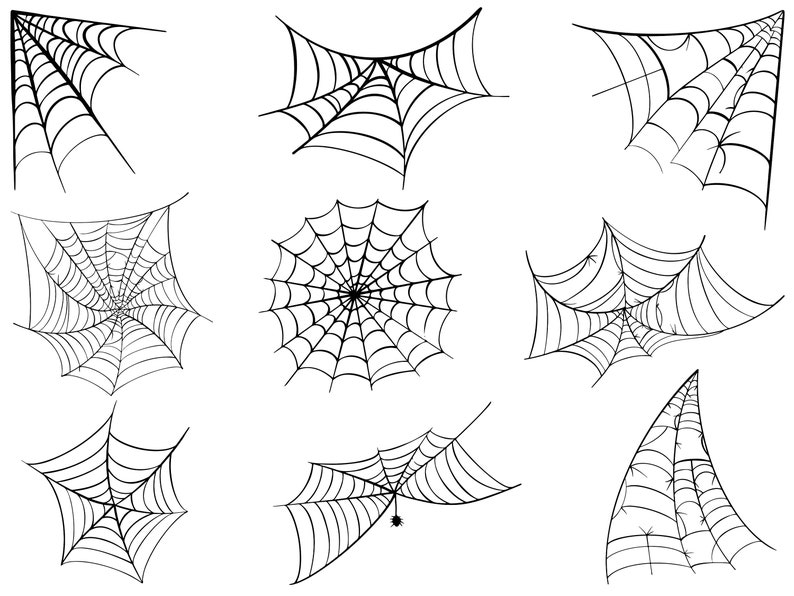 Spider Web SVG Bundle, PNG - Halloween Svg, Spider Web Clipart ...