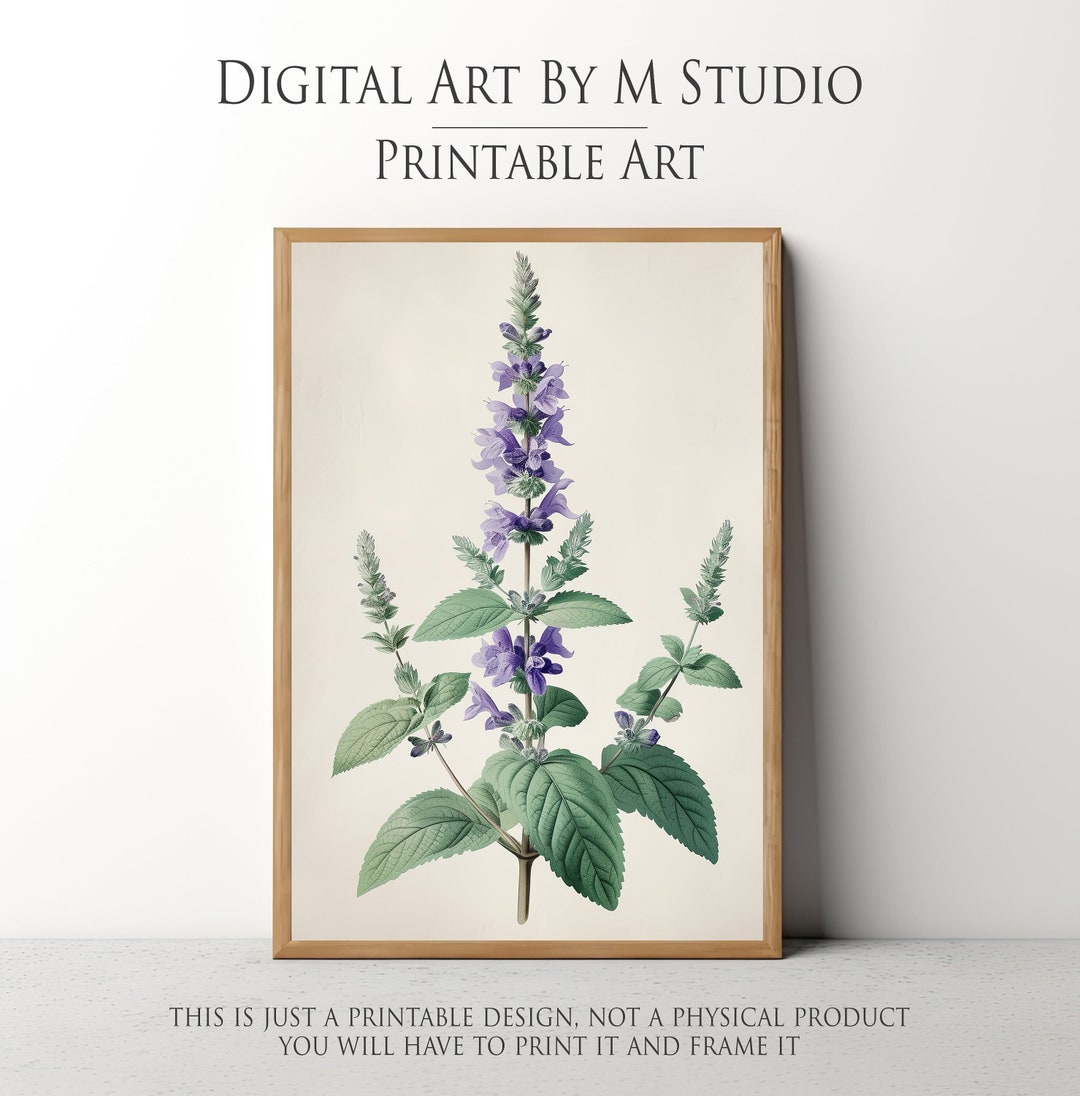 Catmint Flower Painting - French Country Farmhouse Printable ...