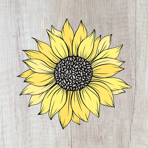 Sunflower Petals Svg - Etsy