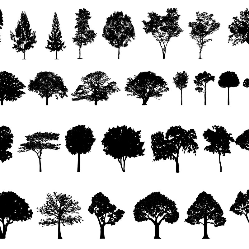 Tree Svg - Etsy