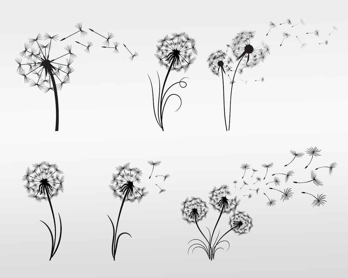 Dandelion SVG Bundle Dandelion Png Flower Cut Files for - Etsy