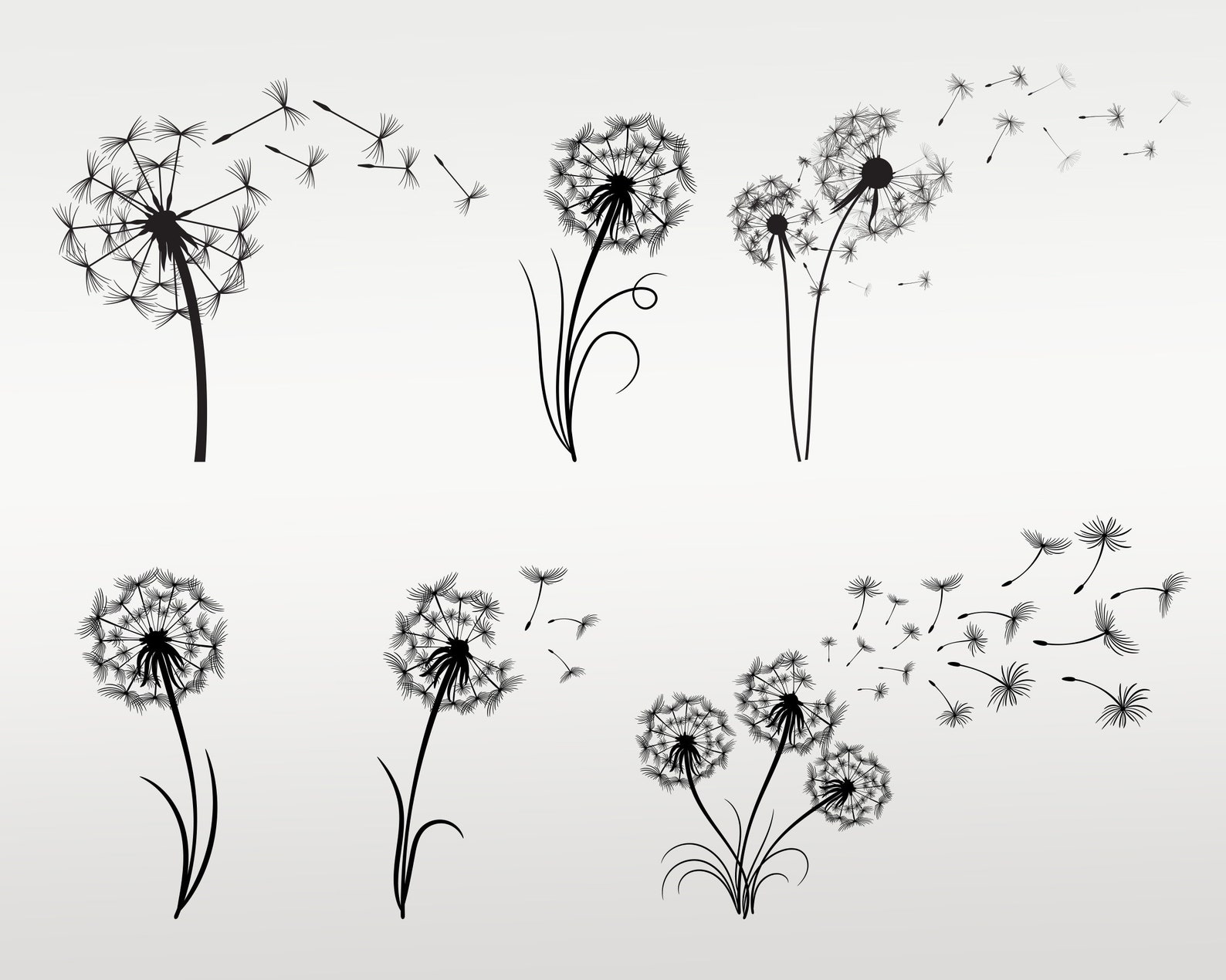 Dandelion SVG Bundle, Dandelion Png, Flower Cut Files for Cricut ...