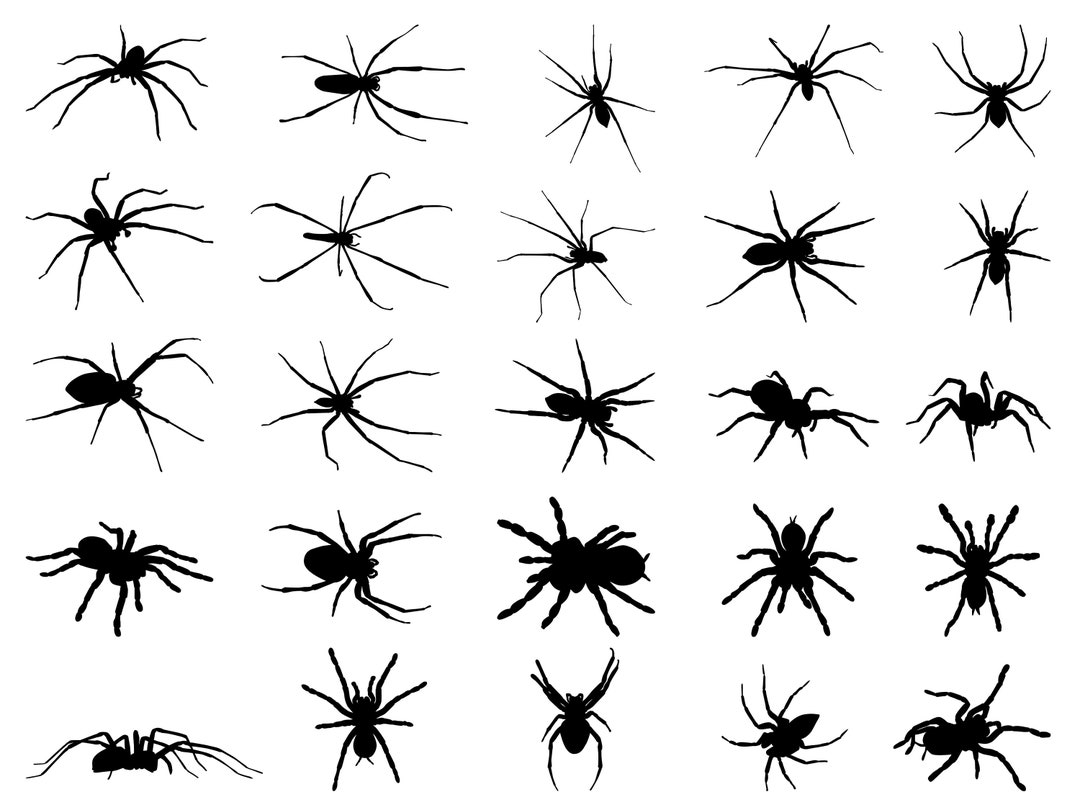 Spider SVG Bundle, PNG Spider Svg, Spiders Svg, Spooky Svg, Halloween ...