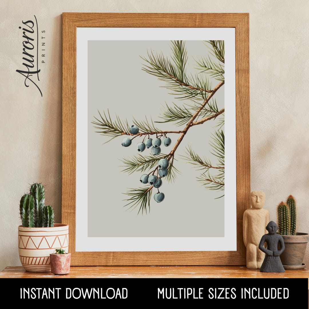 Botanical Juniper Branch Printable Rustic Festive Juniper Berry Branch ...