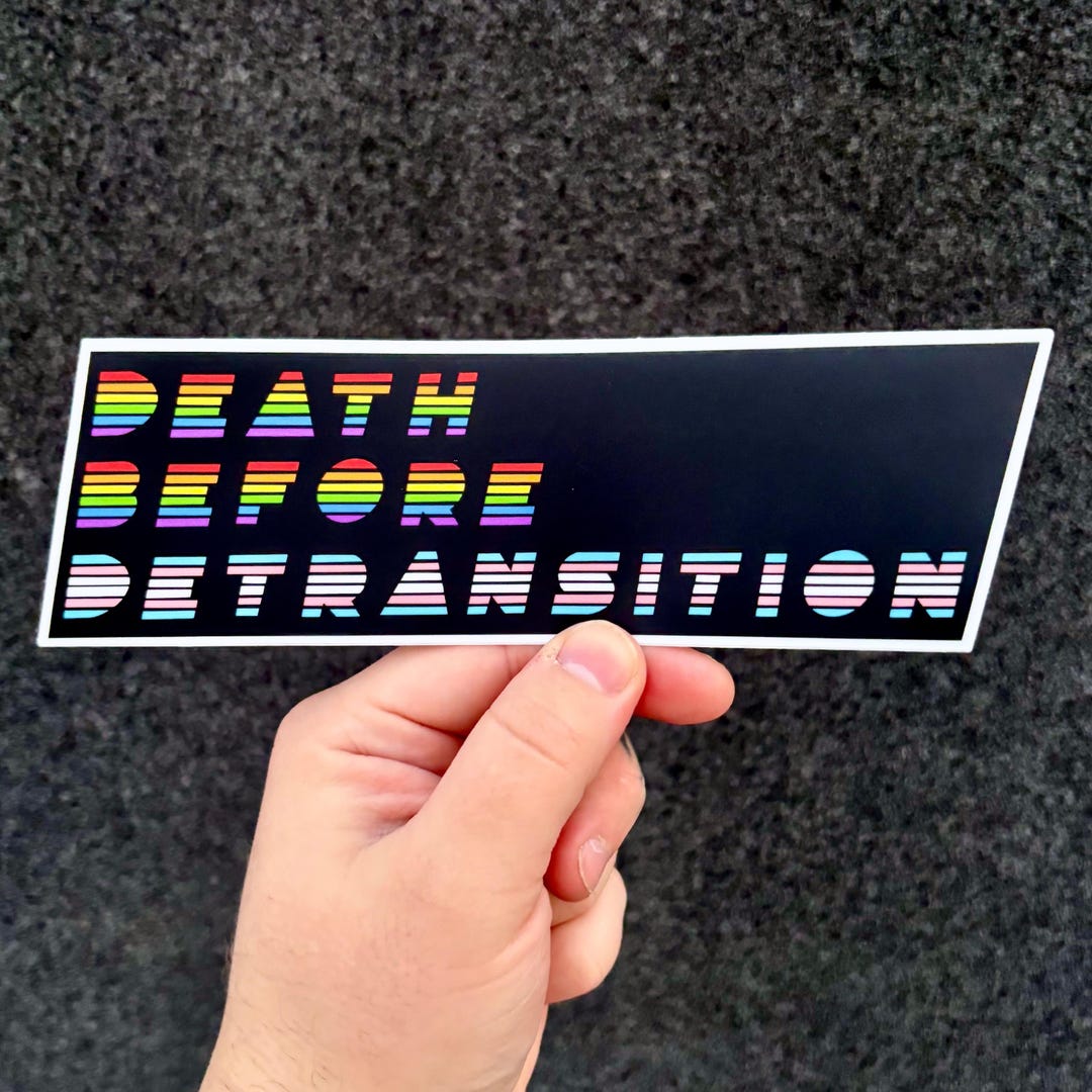 Death Before Detransition Bumper Sticker - Etsy