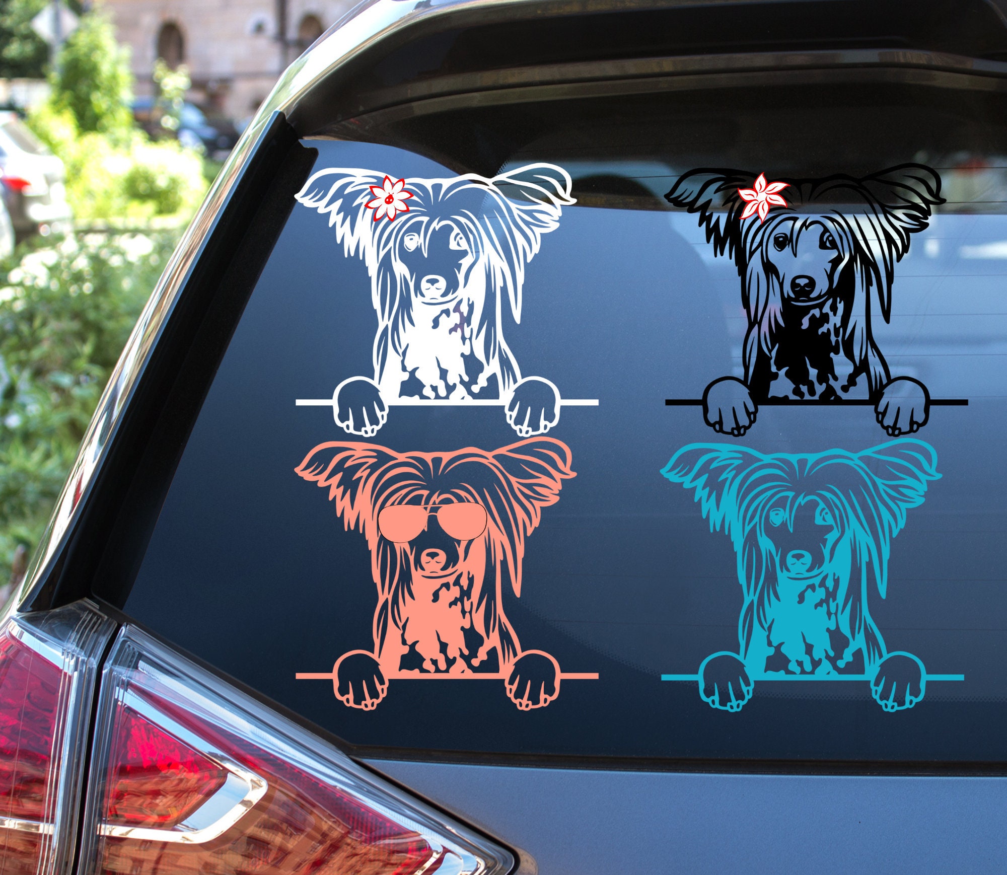 Chinese Crested Car Decal / Peeking Chinese Crested Car | Etsy UK