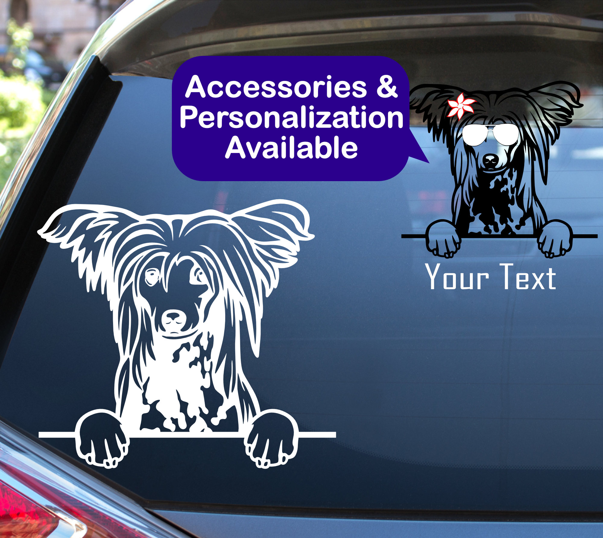 Chinese Crested Car Decal / Peeking Chinese Crested Car | Etsy UK