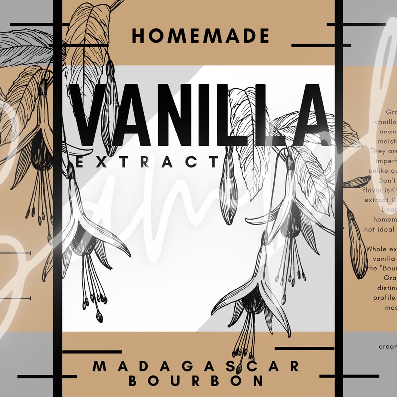 Vanilla Labels - Etsy