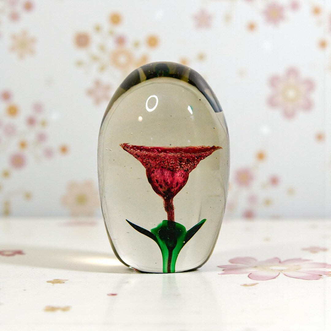 David Paterson Glass Paperweight – Signed Studio Art, 3 Inches - Etsy