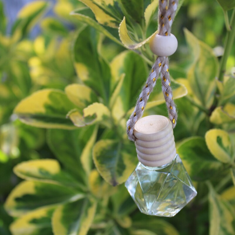 Car Shape Diffuser - Etsy