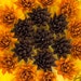 Sunflower Paper Flower Sign - Etsy
