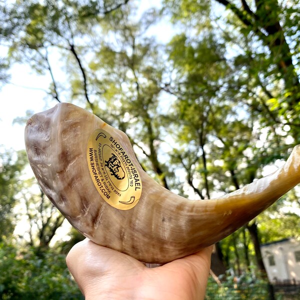 Shofar - Etsy