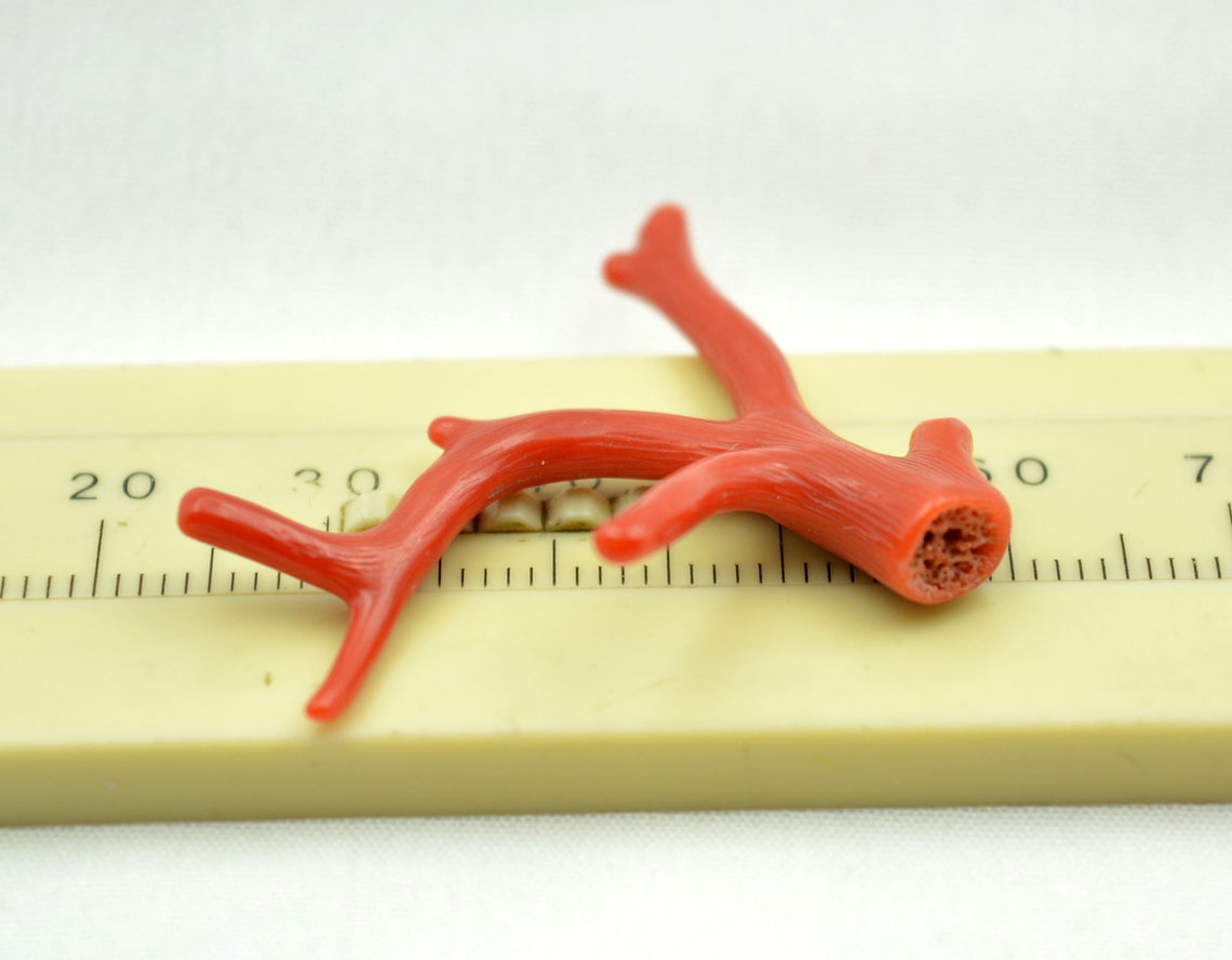 Red Coral Gemstone, Raw Italian Coral Stick, Natural Italian Coral ...
